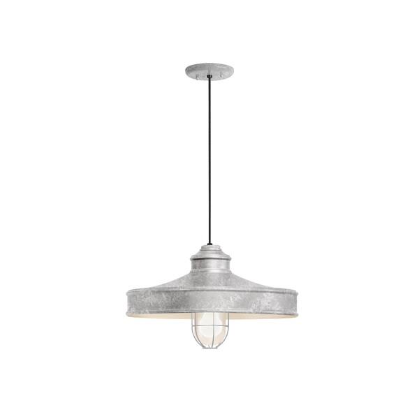 Troy RLM Lighting Nostalgia Galvanized Wire Guard Pendant, 16 inch ...