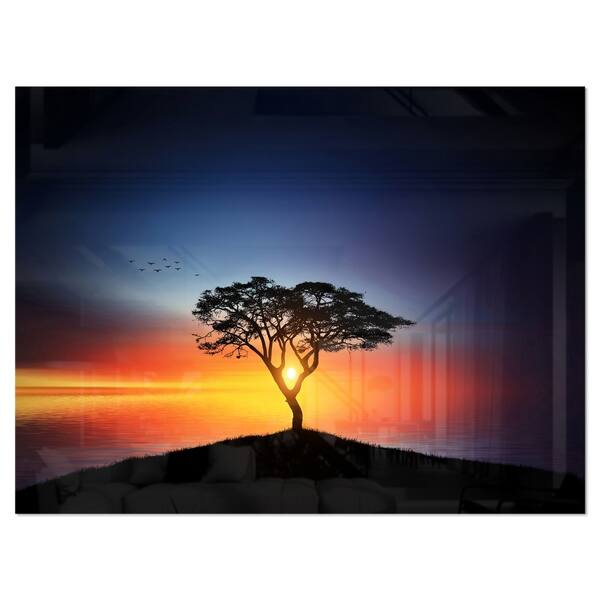 Beautiful Sunset over Lonely Tree - Extra Large Glossy Metal Wall Art ...