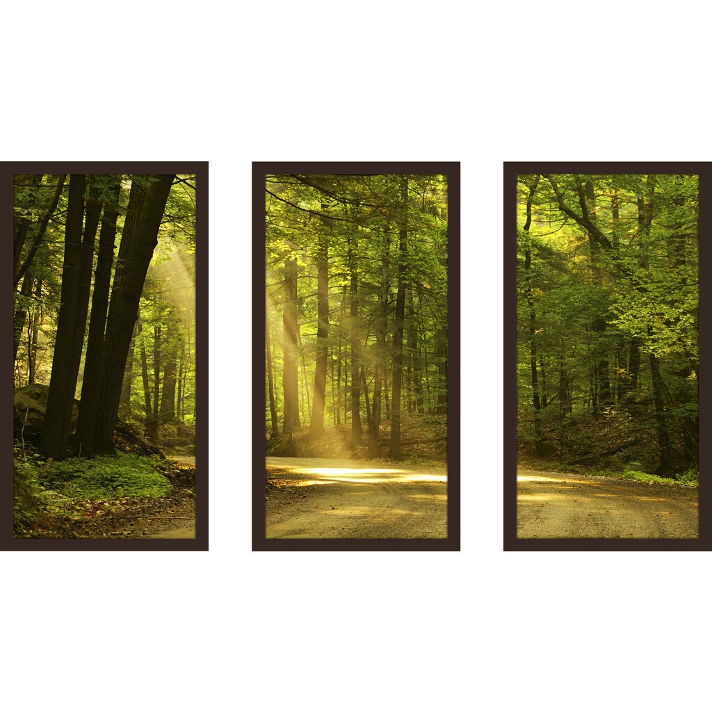 "Bright Summer Forest Ii" Framed Plexiglass Wall Art Set of 3 - Bed ...
