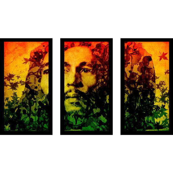 Bekim Mehovic "Marley I" Framed Plexiglass Wall Art Set of 3 - Bed Bath ...