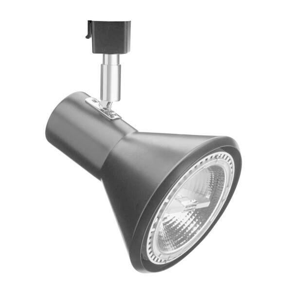 Lithonia Lighting LTH SHDE PAR38 DBL M12 Black Metal 1-light Front ...