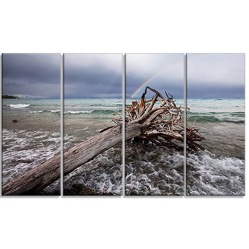Fallen Tree in Storm At Seashore - Seashore Canvas Wall Artwork Print ...