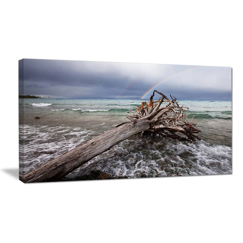 Fallen Tree in Storm At Seashore - Seashore Canvas Wall Artwork Print ...