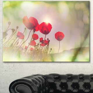 Designart "Wild Red Poppy Flowers " Extra Large Floral Canvas Art - Bed ...