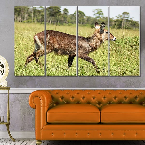 Designart "Waterbuck Antelope in Green Grass" Extra Large African Art ...