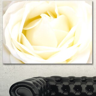 Designart "White Rose with Close-Up Petals" Extra Large Floral Canvas ...