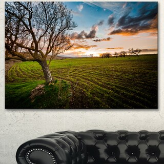 Designart "Sunset in Sardinia Grassland" Extra Large Landscape Art ...