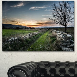 Designart "Rocky Fences in Green Grassland" Extra Large Landscape Art ...