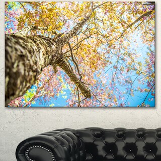 Designart "Under Branch of Yellow Cherry Tree" Modern Trees Canvas Wall ...
