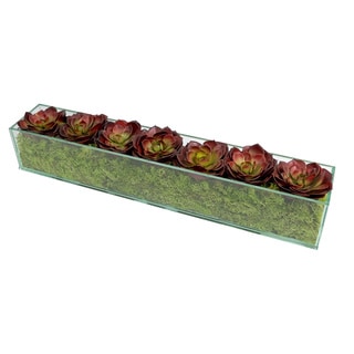Artificial Echeveria Rectangular Glass Planter - Bed Bath & Beyond ...