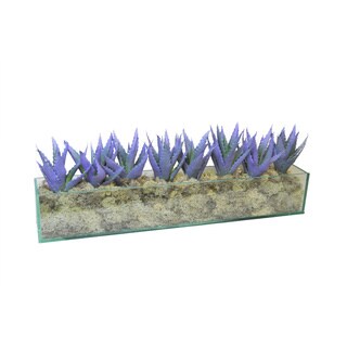 Blue Silk Agave in Rectangular Glass Planter - Bed Bath & Beyond - 13210765