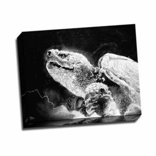 Picture It on Canvas 'Canadian Snapping Turtle' 20-inch x 16-inch ...