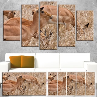 Designart "Grants Gazelles Grazing in Grassland" Modern Animal Canvas ...