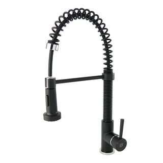 Residential Coil Spring Black Kitchen Faucet - Bed Bath & Beyond - 13342987