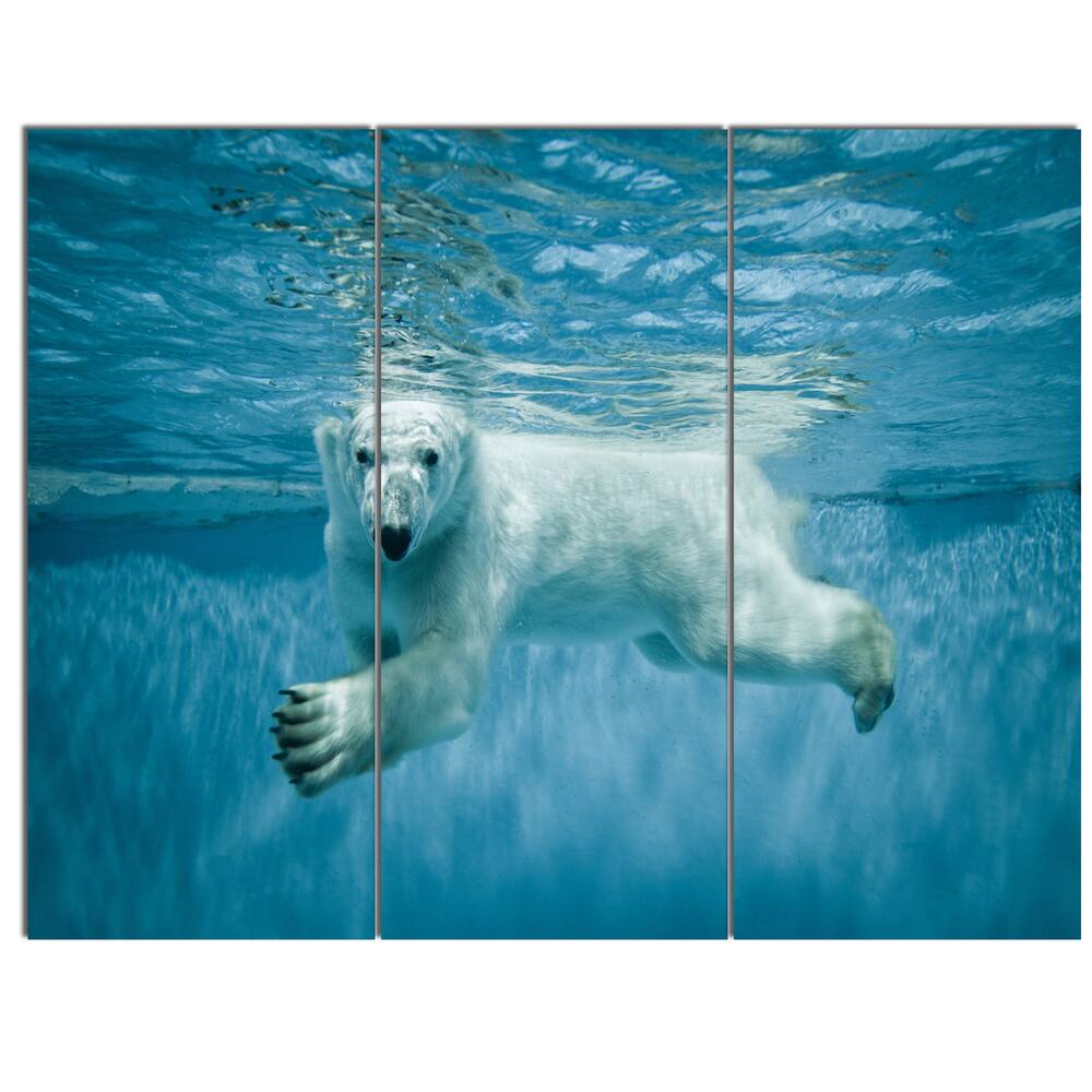 Designart "Polar Bear Swimming under Water" Large Animal Canvas Artwork ...