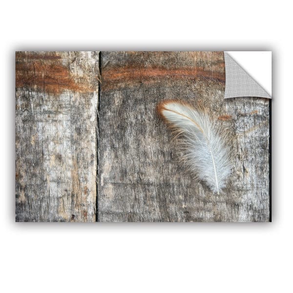 ArtAppealz Sagebrush Cora Niele's 'Little Feather' Removable Wall Art ...