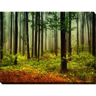 "The Right Path" Giclee Print Canvas Wall Art - Bed Bath & Beyond ...