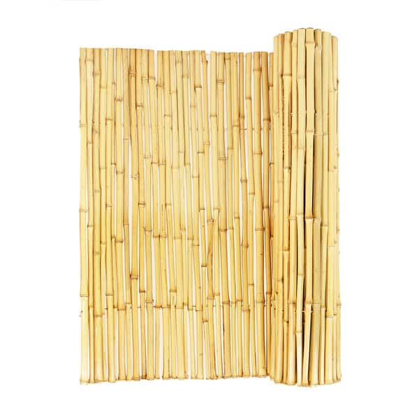Natural Bamboo Fencing Decorative Fence 6 ft H x 8 ft L x 3/4 in D ...