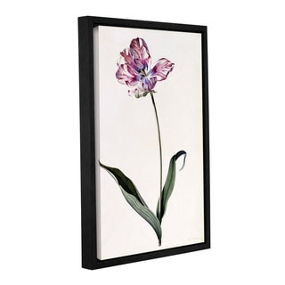 Georg Dionysius Ehret's ' Tulip, 1745' Gallery Wrapped Floater-framed ...