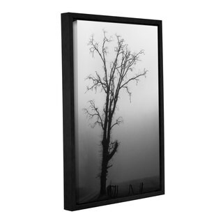 Tom Croce's ' Titan In The Fog' Gallery Wrapped Floater-framed Canvas ...