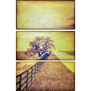 Empire Art - Country Road - Set of 3 Fresco Image Printed on Hand ...