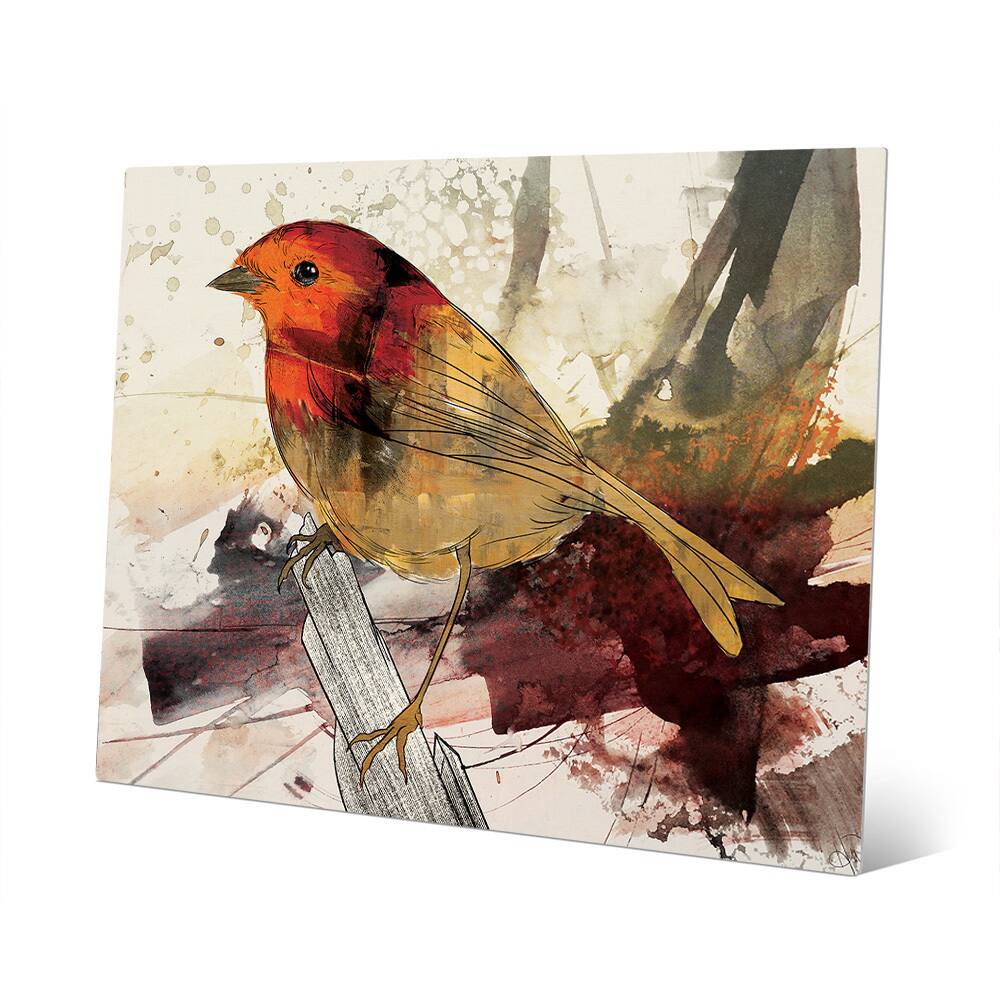'Expressionist Vermillion Robin' Metal Wall Art - Overstock - 14173364