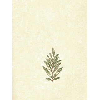 Thibaut Palladio Light Yellow Double Roll Designer Wallpaper - Bed Bath ...