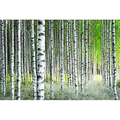 Forest II Printed on Tempered Glass - Overstock - 14344692