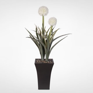 Artificial Pandanus with White Cream Flower Plant with Pebbles in ...