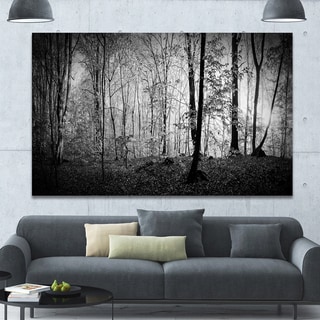 Designart "Beautiful Forest Morning Panorama" Extra Large Landscape ...