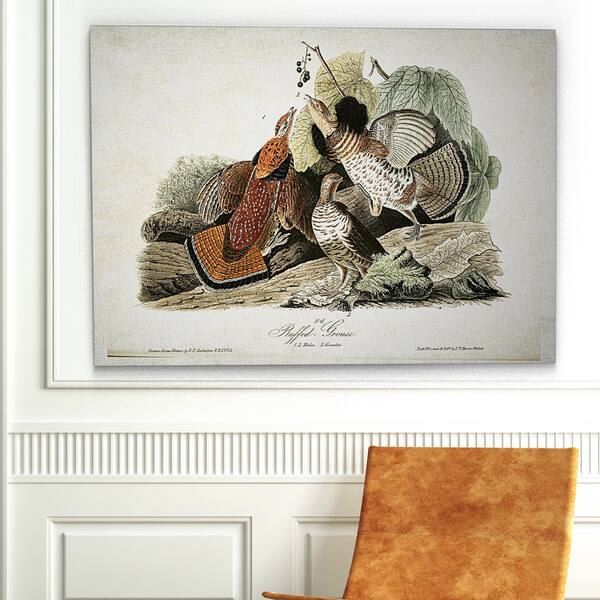 'Aviary Drawing V' Canvas Wall Art - Bed Bath & Beyond - 14627571