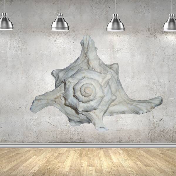 Full Color White Seashell Full Color Wall Decal Sticker Sticker Decal ...