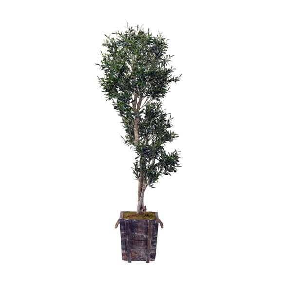 D&W Silks 7-foot Sculptured Olive Tree in Rustic Wooden Planter - Green ...