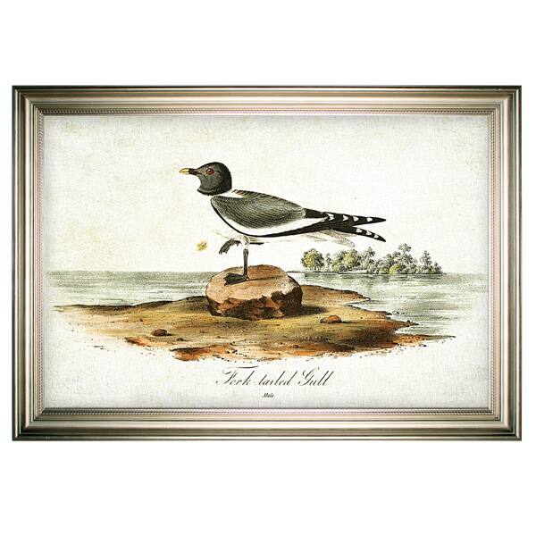 Aviary Drawing VI -Silver Frame - Bed Bath & Beyond - 15367962