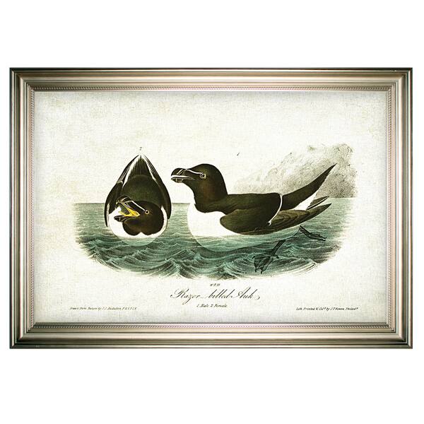 Aviary Drawing IV -Silver Frame - Bed Bath & Beyond - 15367979