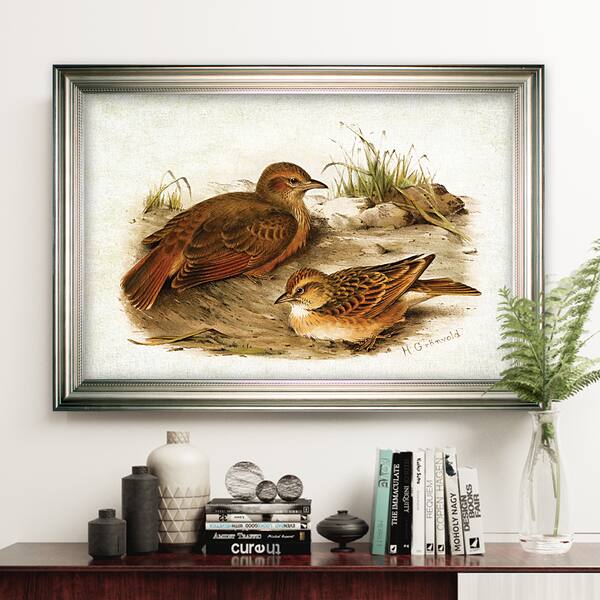 Aviary Drawing I -Silver Frame - Bed Bath & Beyond - 15367988