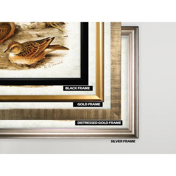 Aviary Drawing I -Silver Frame - Bed Bath & Beyond - 15367988