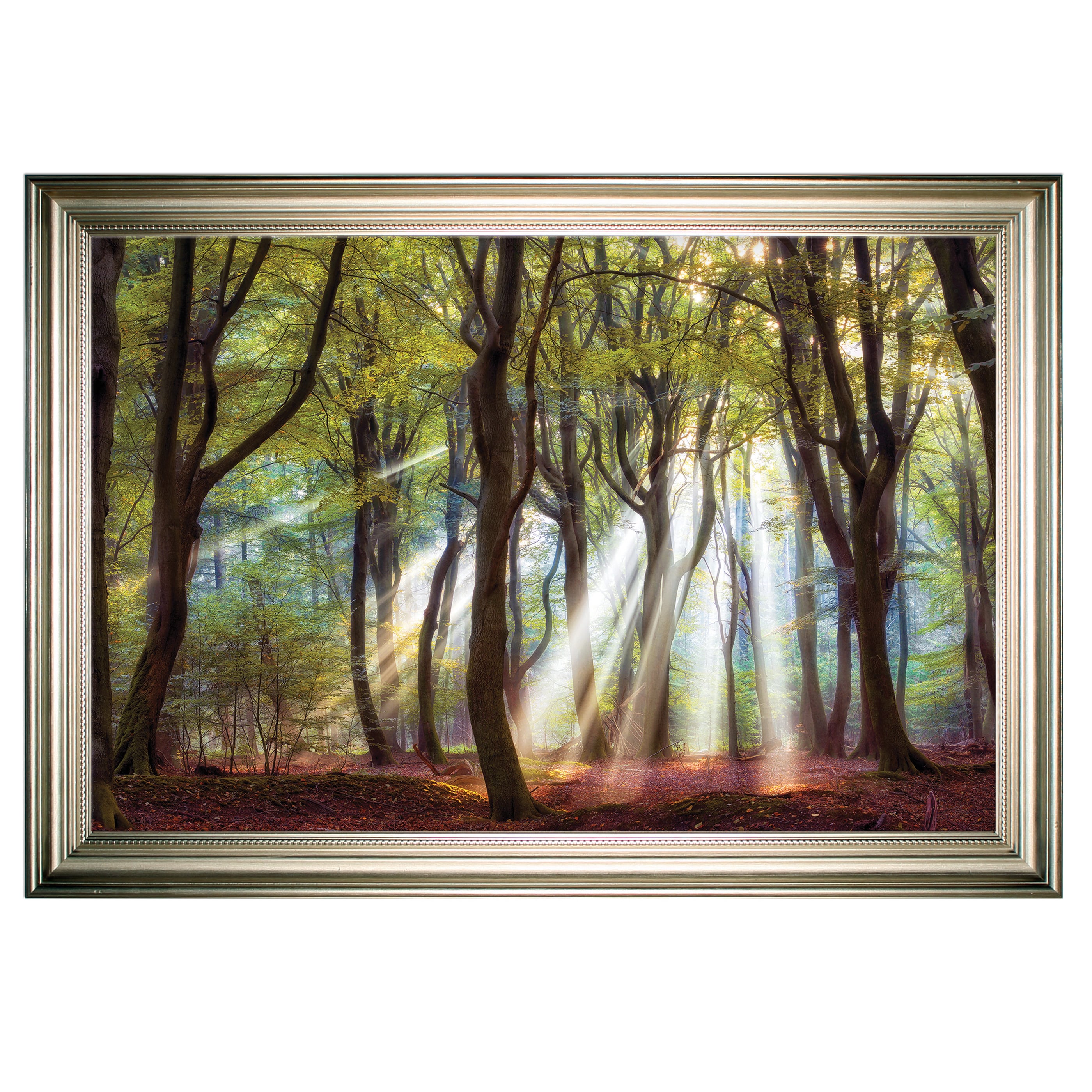 Framed Canvas - Bed Bath & Beyond