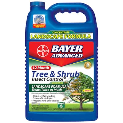 Bayer Advanced 12 Month Tree and Shrub Insect Control Landscape Formula ...