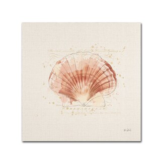 Katie Pertiet 'Shell Collector IV' Canvas Art - Bed Bath & Beyond ...