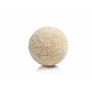 "Palay" 7" Diameter Shell Decorative Ball, White - Bed Bath & Beyond ...