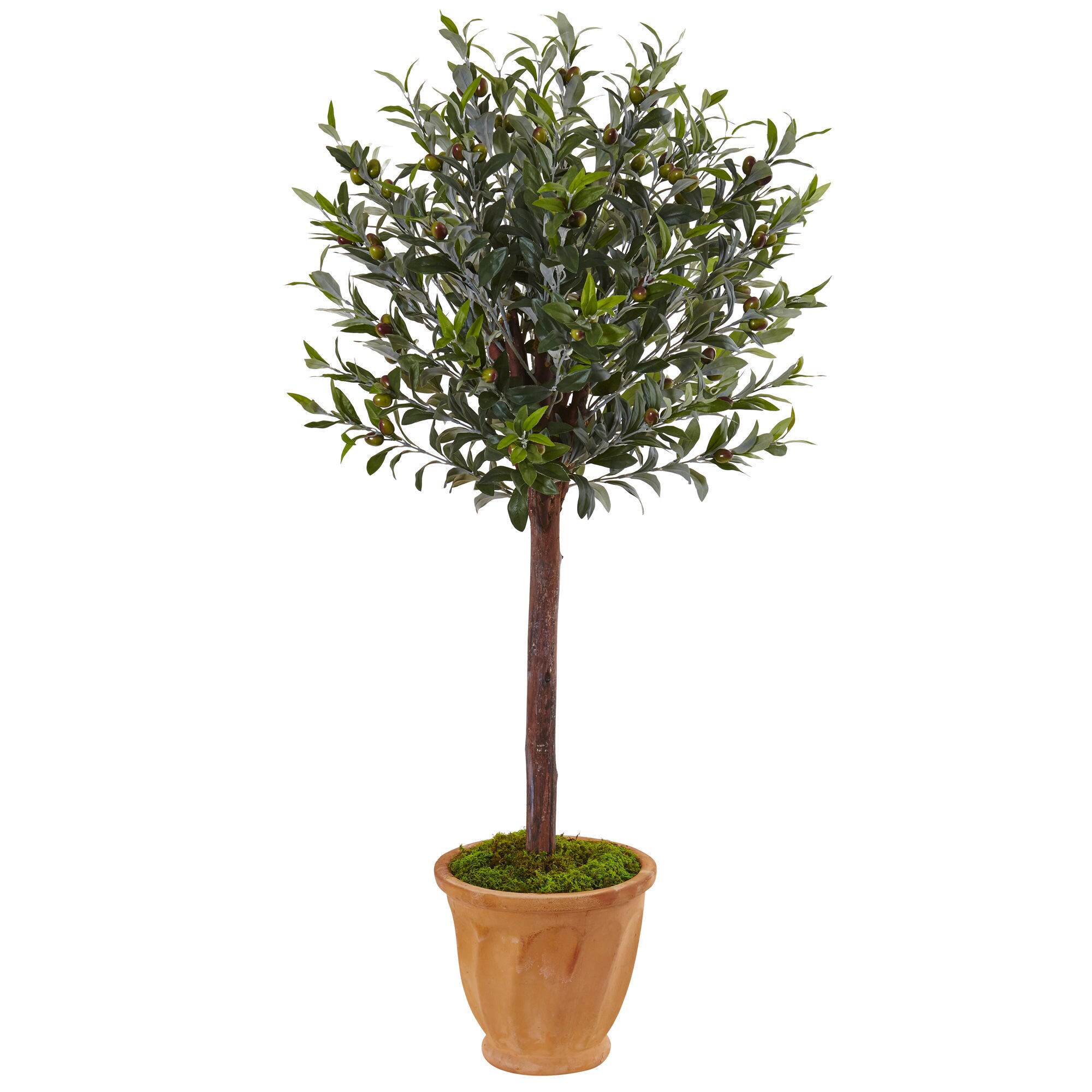 5' Olive Topiary Artificial Tree in Terra Cotta Planter - Bed Bath ...