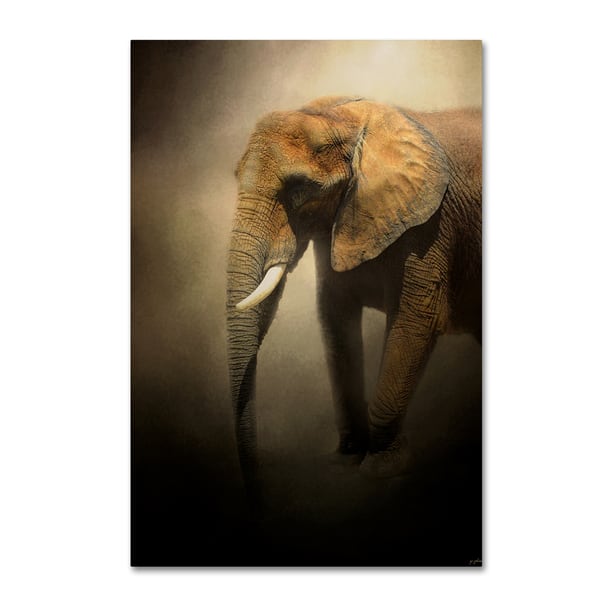 Jai Johnson 'The Elephant Emerges' Canvas Art - Bed Bath & Beyond ...