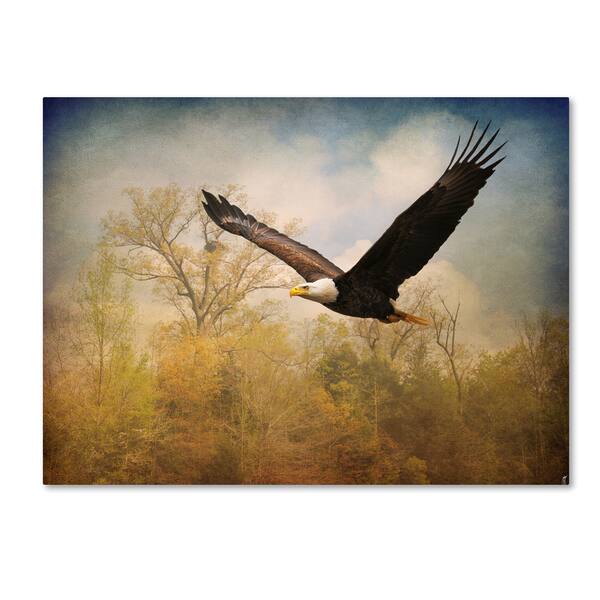 Jai Johnson 'Monarch Of The Skies Bald Eagle' Canvas Art - Bed Bath ...