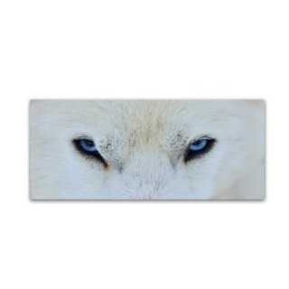 Miquel Angel Artus 'Mirada Azul' Canvas Art - Bed Bath & Beyond - 16721736