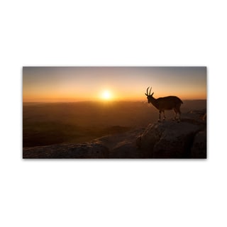 Nadav Jonas 'A New Day' Canvas Art - Bed Bath & Beyond - 16722048