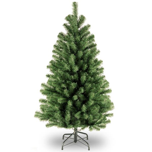 4 ft. North Valley Spruce Tree - On Sale - Bed Bath & Beyond - 16722430