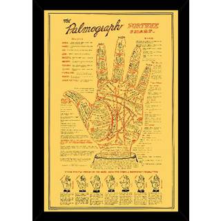 Palmograph Poster With Choice of Frame (24x36) - Bed Bath & Beyond ...
