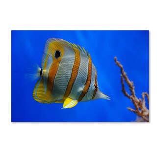 Jan Lykke 'Tropical Beauty' Canvas Art - Bed Bath & Beyond - 16930662