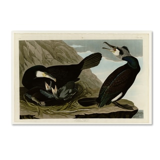 Audubon 'Common Cormorantplate 266' Canvas Art - Bed Bath & Beyond ...